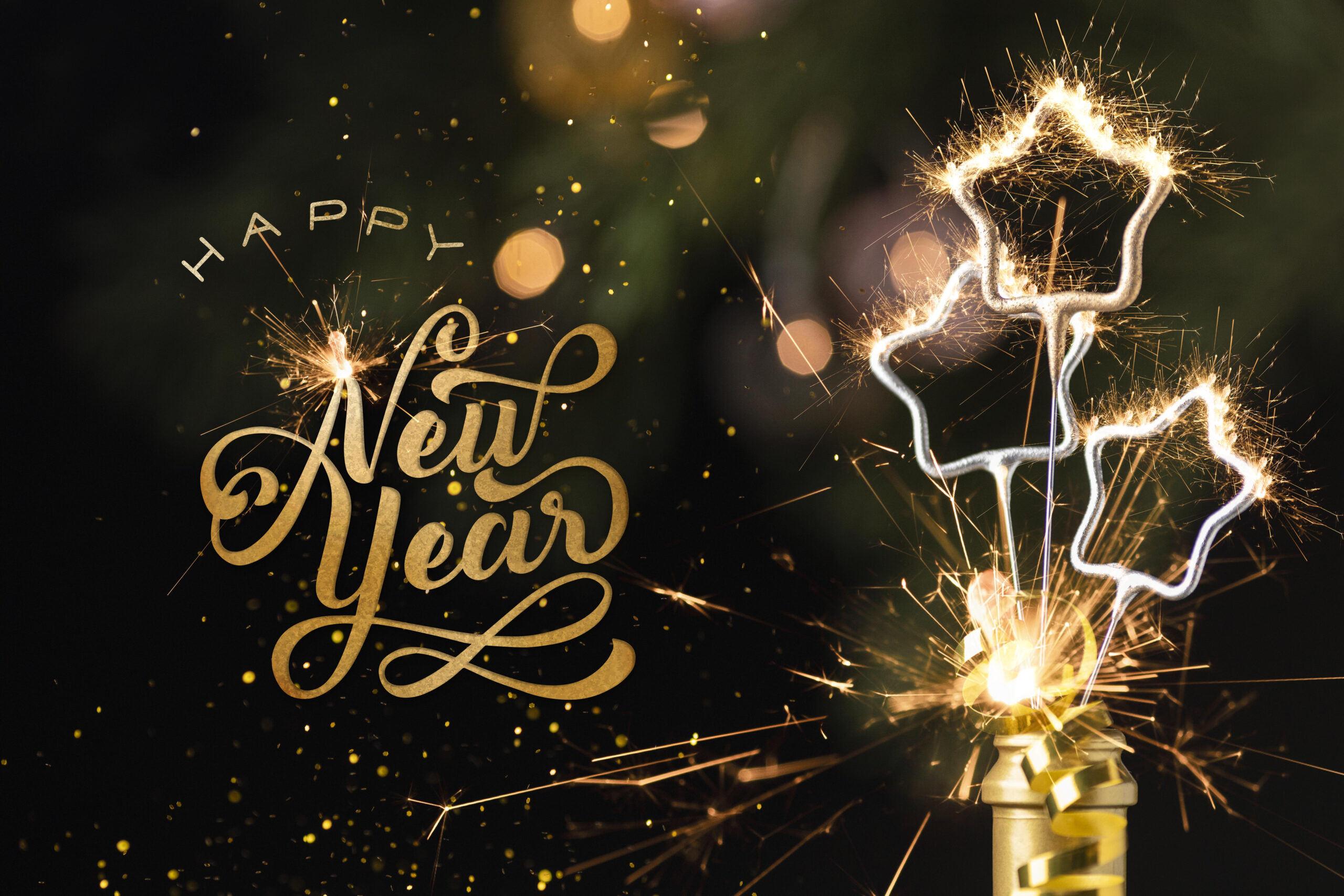 New Year's Eve Celebration - St Catherine's Hospice